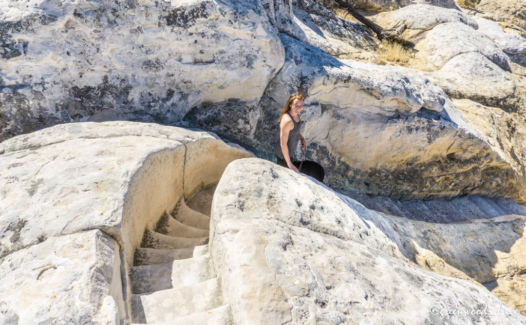 Albuquerque, Petroglyphs, Watering Holes, and Volcanoes. – The Moore Factor